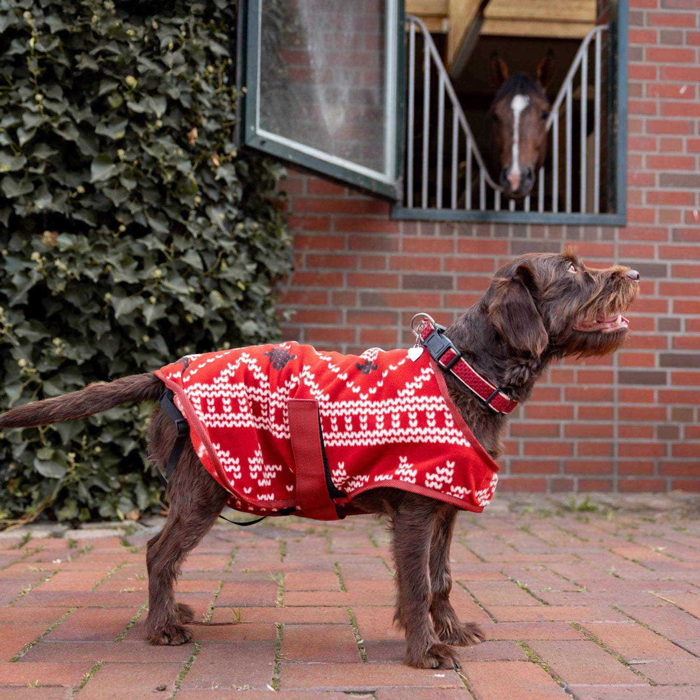 Horze Santa Dog Fleece Coat– MiniTack