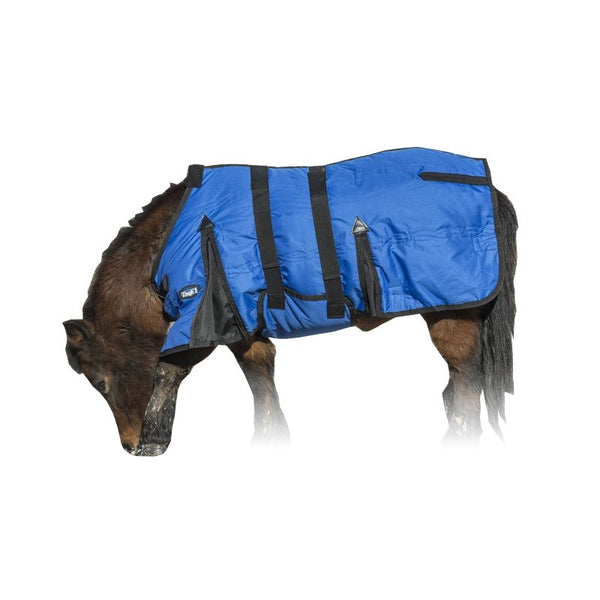 Mini Horse Blankets - Turnout, Stable & 200g Fill– MiniTack