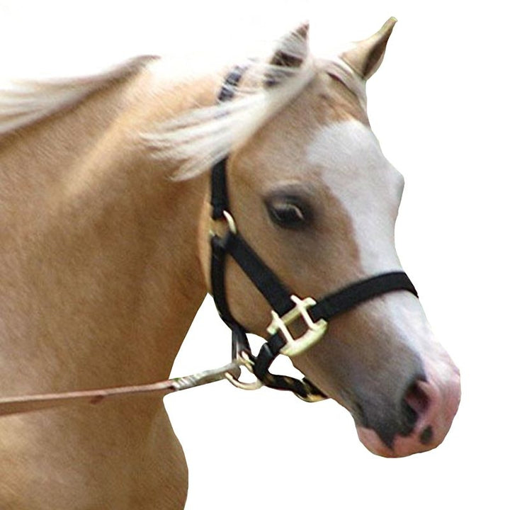 Miniature Horse Tack & Supplies - MiniTack.com