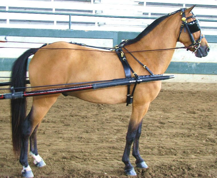 Ozark Dual Headstall Leather Pony Show Harness – MiniTack