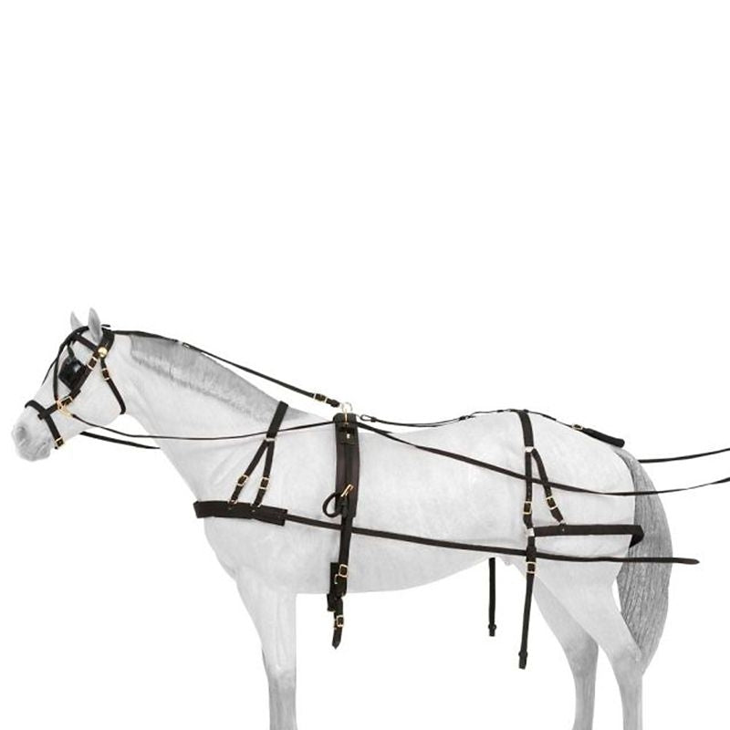 Tough1 Deluxe Nylon Driving Harness– MiniTack