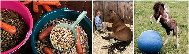 Miniature Horse Tack & Supplies - MiniTack.com