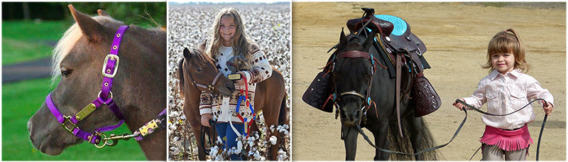 Miniature Horse Tack & Supplies - MiniTack.com