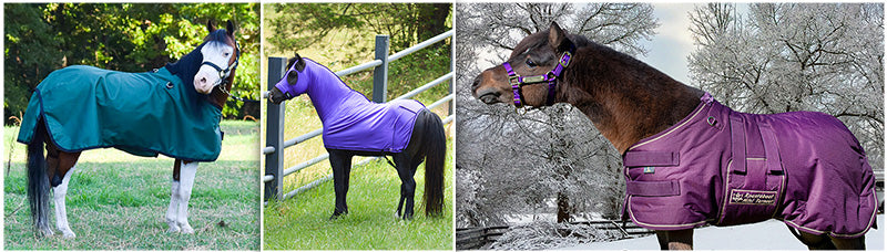 Miniature Horse Tack & Supplies - MiniTack.com